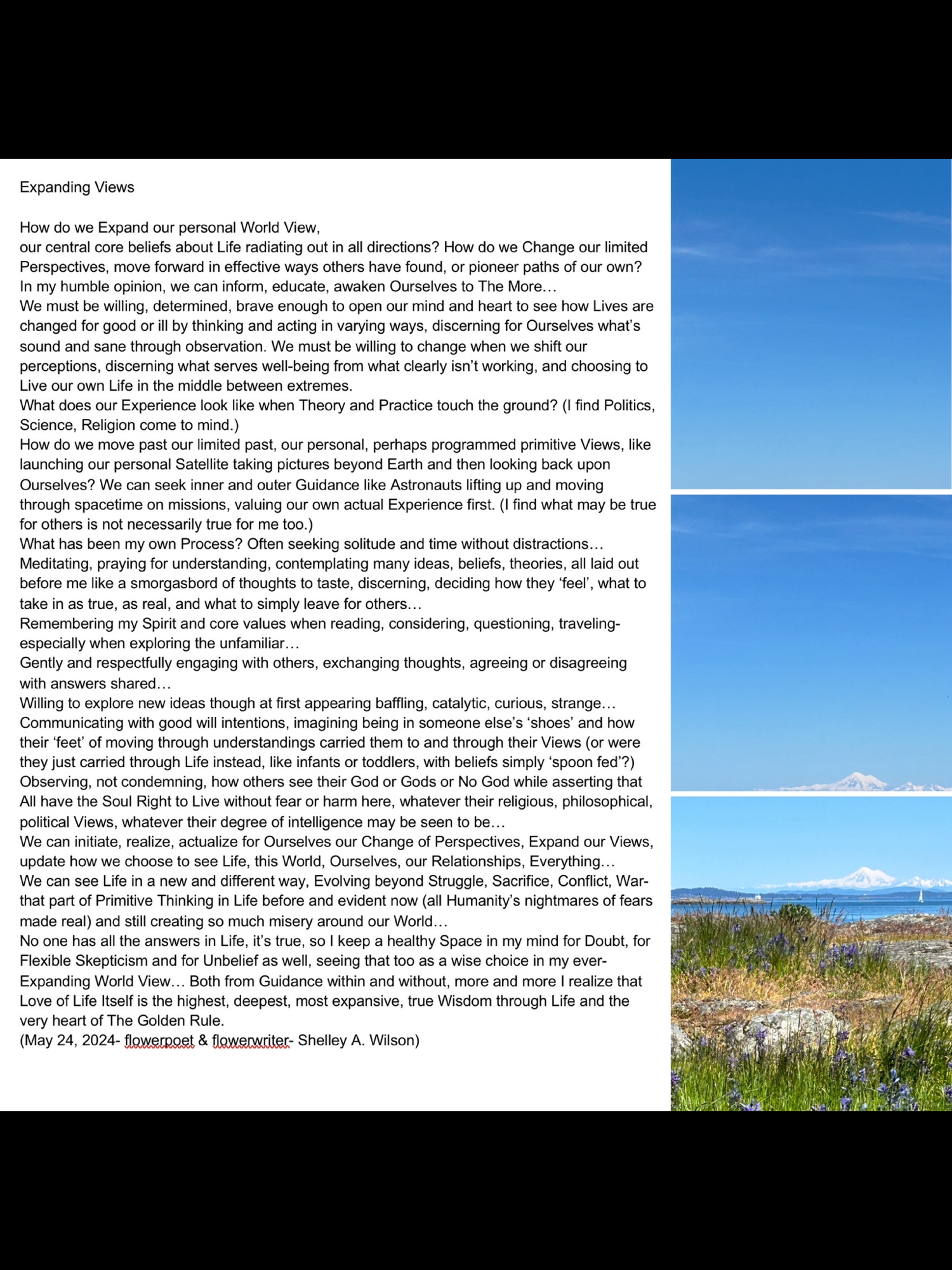 Expanding Views | Flowerpoet