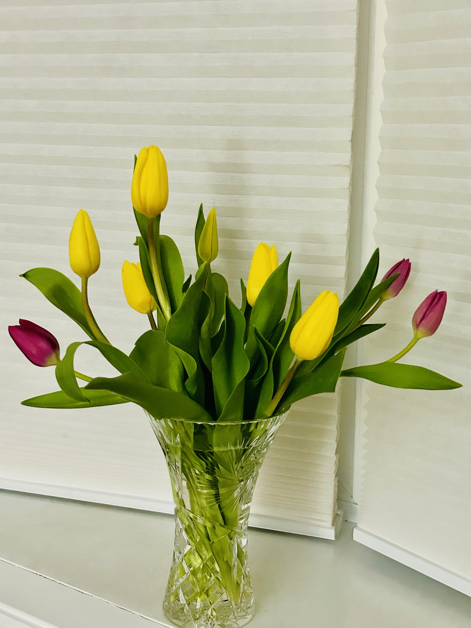 Who Tells Us | Flowerpoet