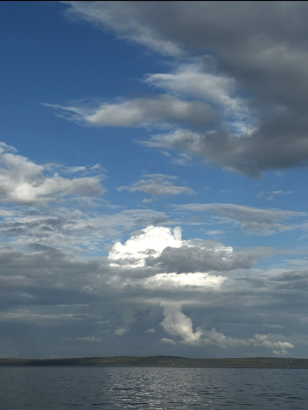 This Earth | Flowerpoet